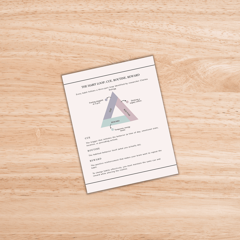 Daily Habits Bundle: Small Steps, Big Results