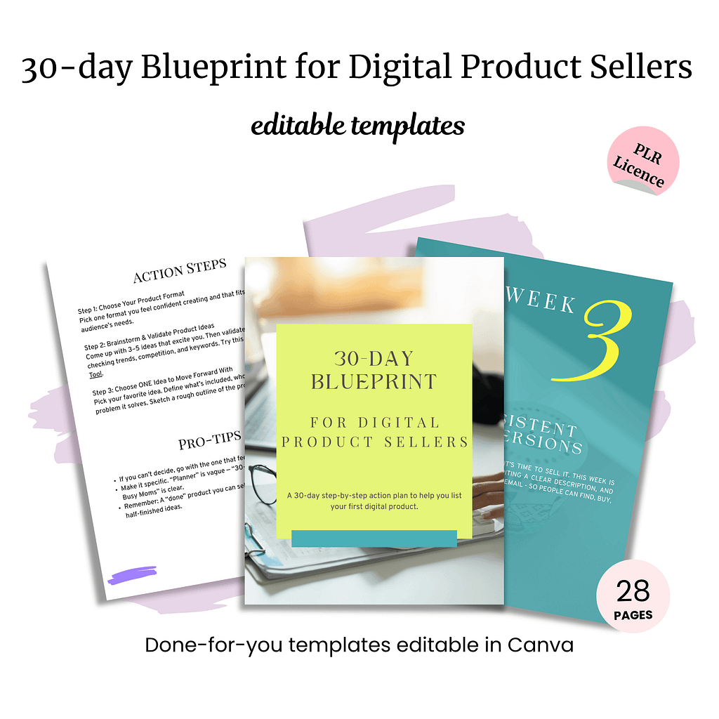 30-Day Blueprint: Create & Launch (PLR Canva Template)