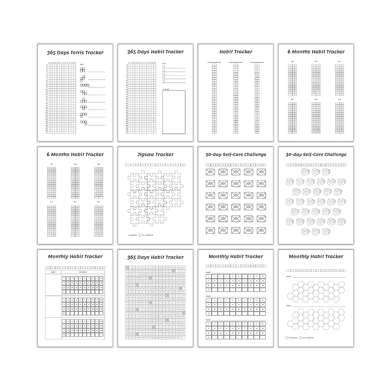 Daily Habits Bundle: Small Steps, Big Results