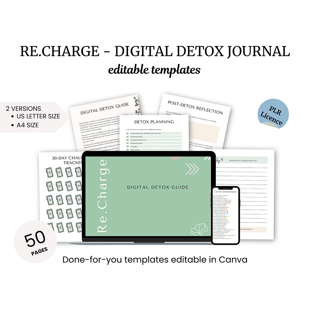 Digital Detox Journal – Snazzy Designs PLR